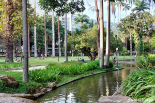 Jardim do Palácio do Catete – Rio de Janeiro - Flores e Folhagens